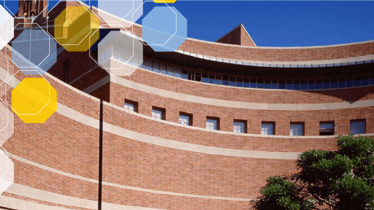 Meet our CIO | Digital & Technology Solutions