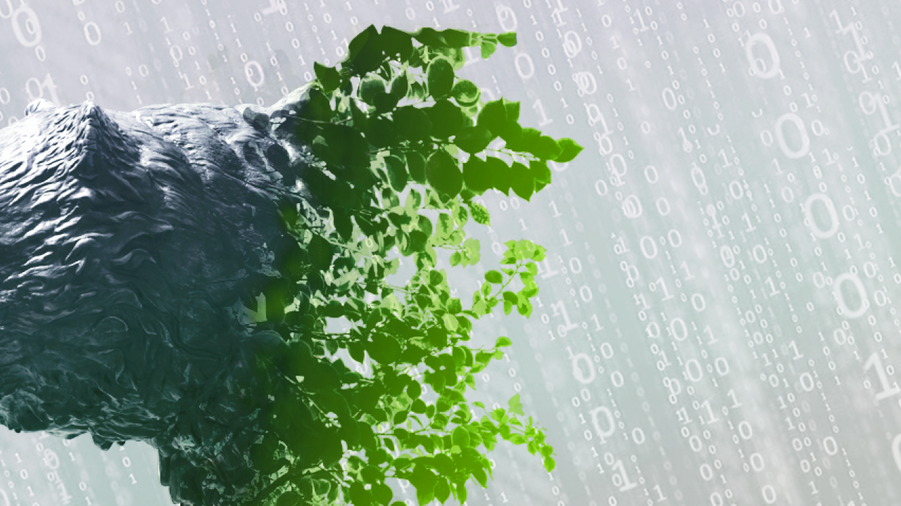 Clear Out Your Cyber Clutter With a Digital Spring Cleaning | Digital ...